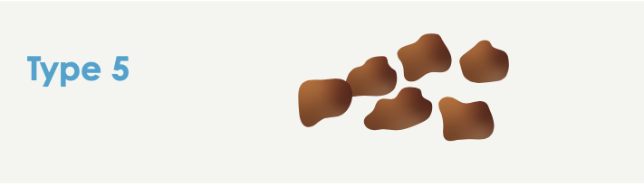 Bristol stool form scale - Bladder & Bowel Community