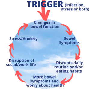 The Vicious Circle, IBS & Stress - Bladder & Bowel Community